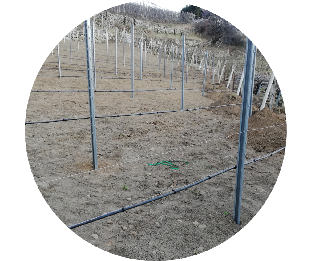 Irrigazione a goccia e a goccia - irrigazione efficiente e sostenibile