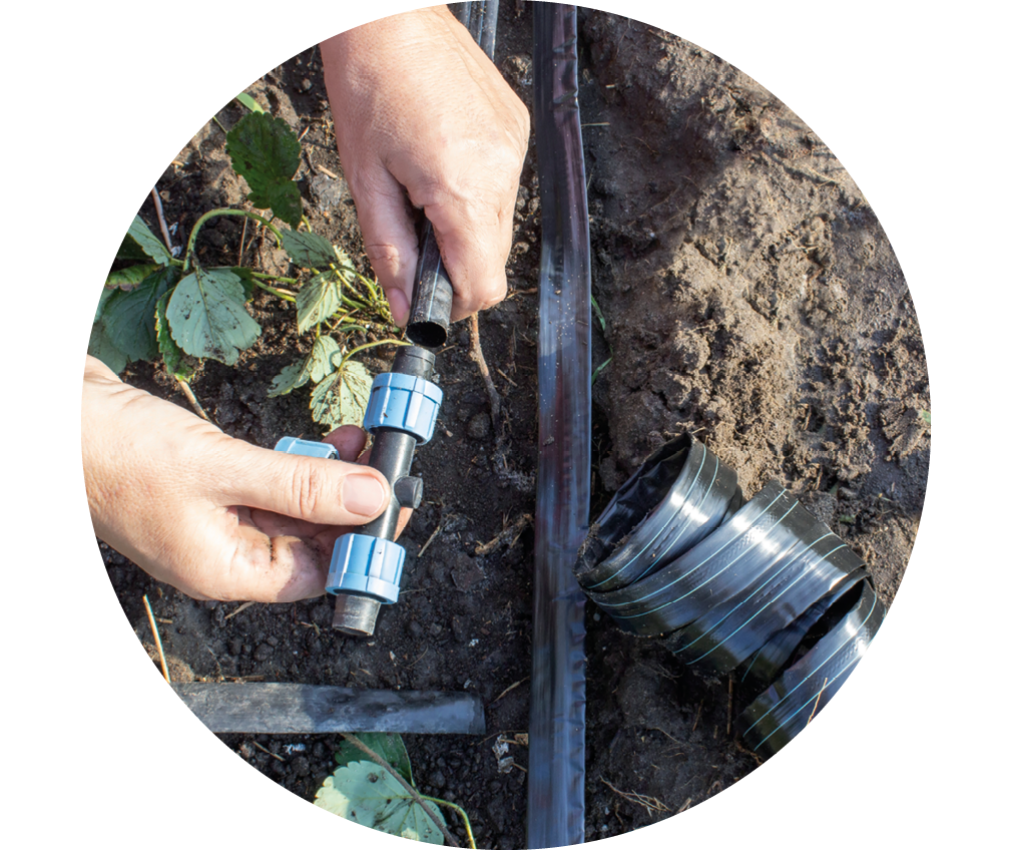 Irrigazione a goccia e a goccia - irrigazione efficiente e sostenibile